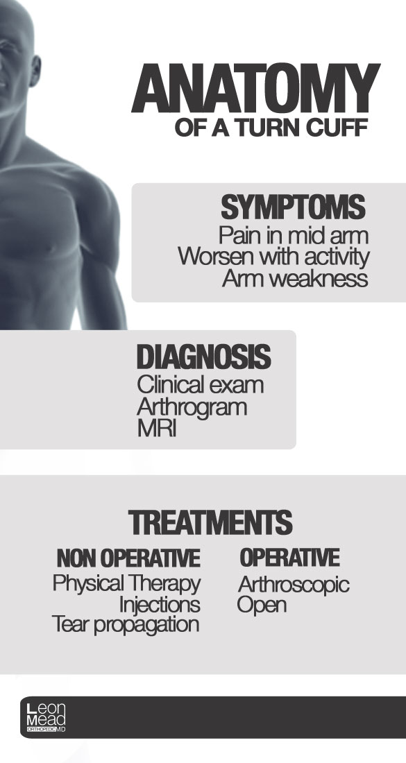 Anatomy-of-a-Rotator-Cuff-Torn - Naples Orthopedic Doctor | Leon Mead MD